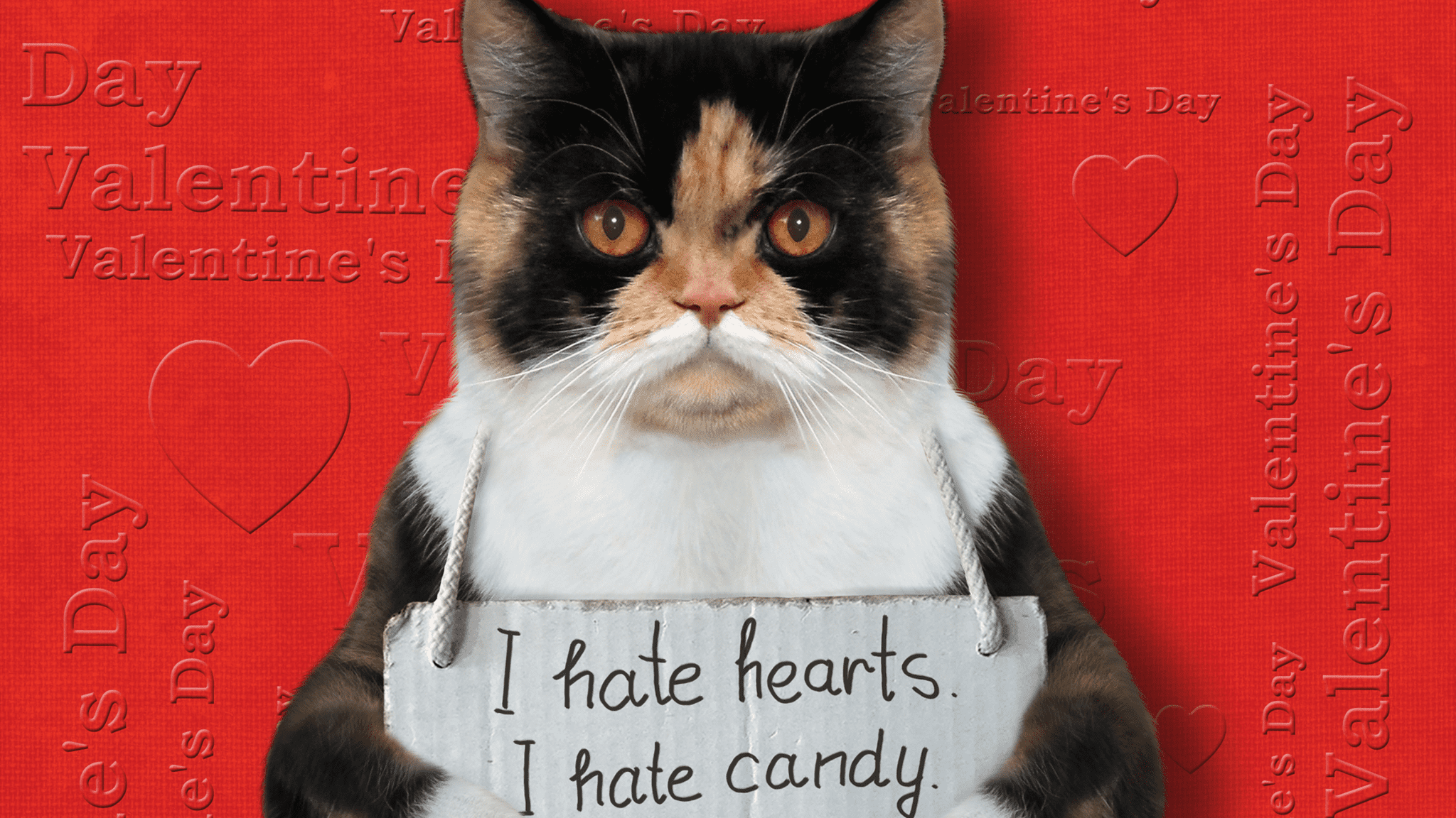 Hate Valentines Day? 5 Fun Ways to Make the Most of it Anyways ...